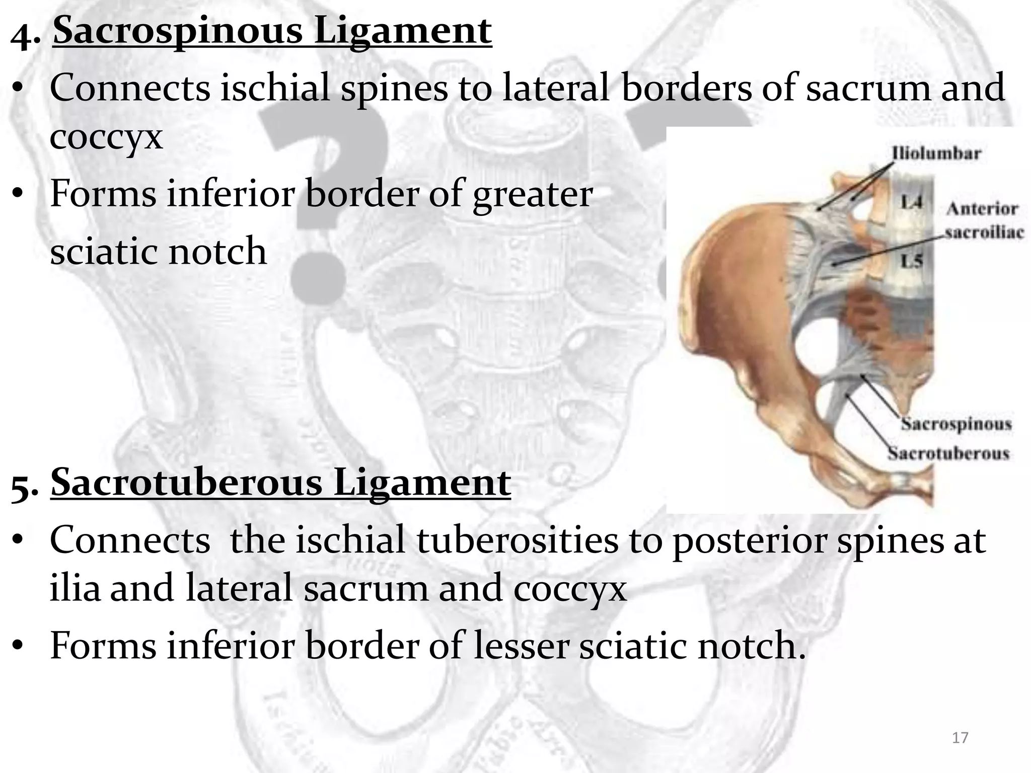 Biomechanics of si joint | PPTX
