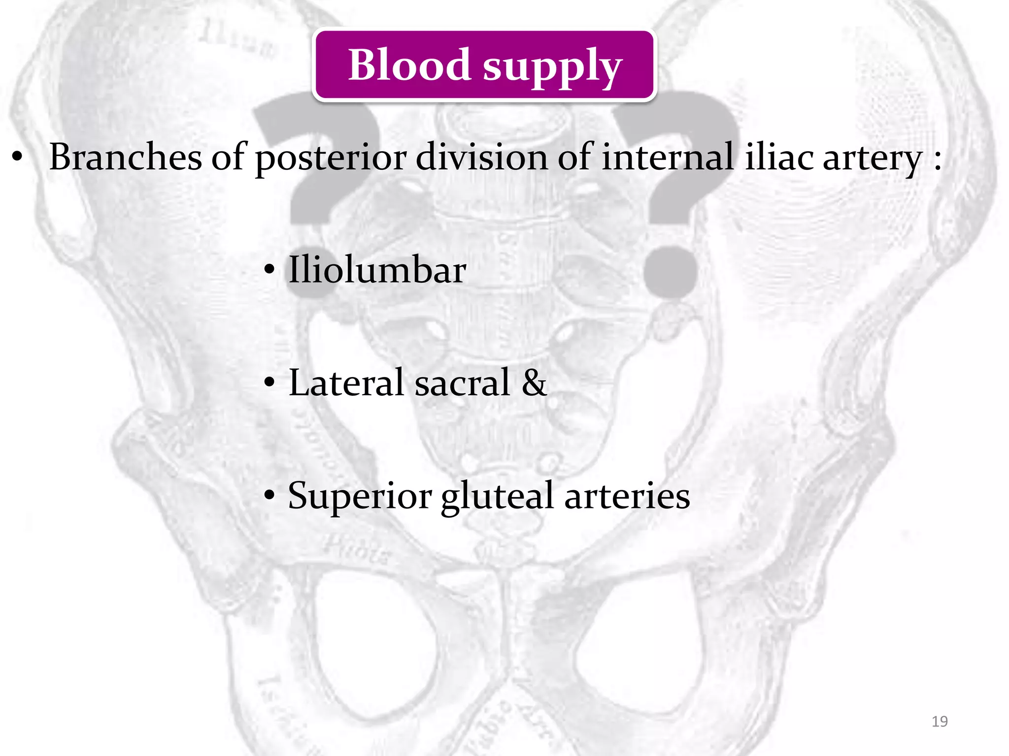 Biomechanics of si joint | PPTX