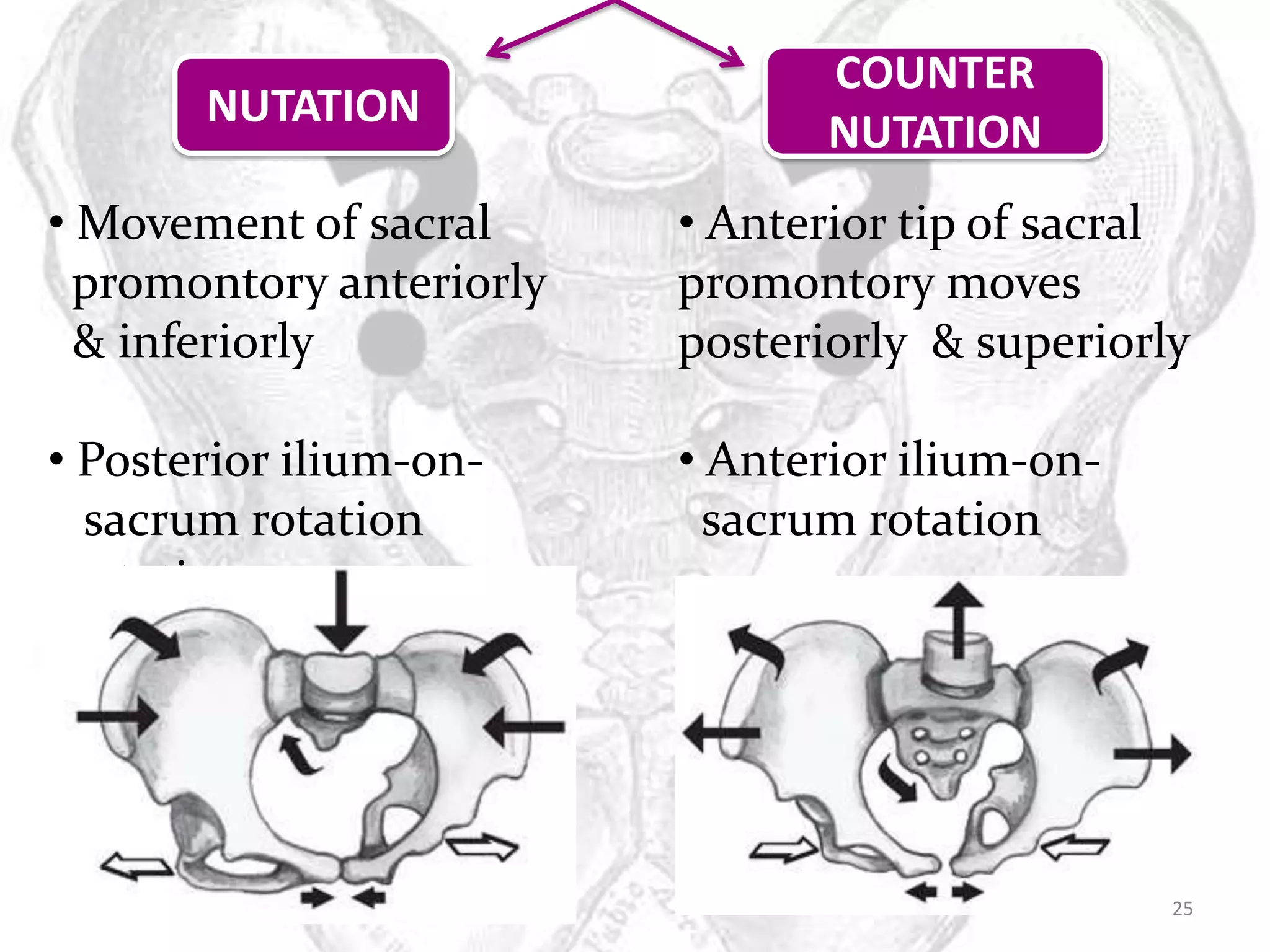 Biomechanics of si joint | PPTX