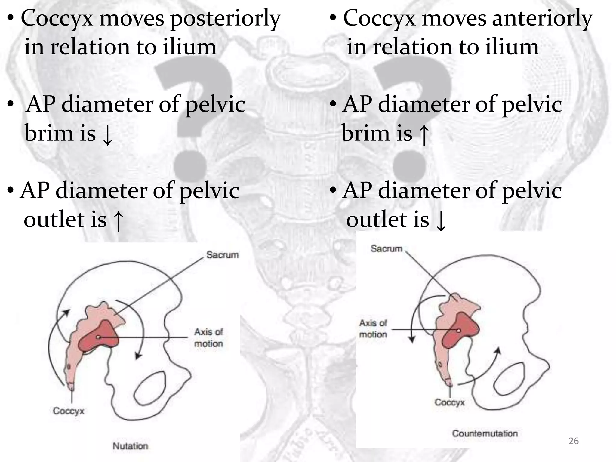 Biomechanics of si joint | PPTX