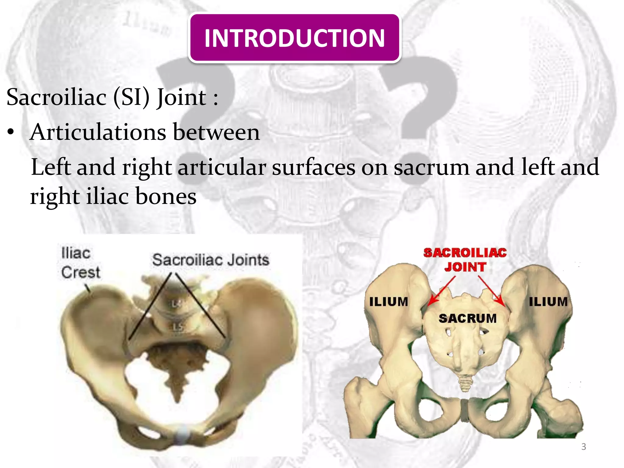 Biomechanics of si joint | PPTX