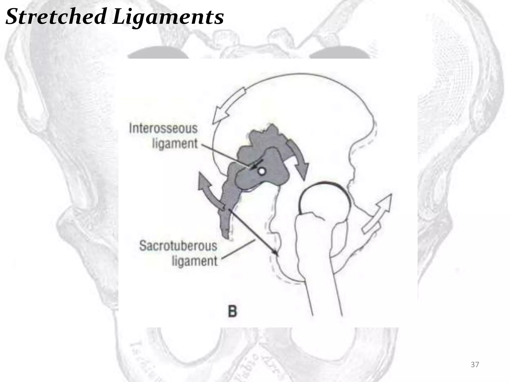 Biomechanics of si joint | PPTX