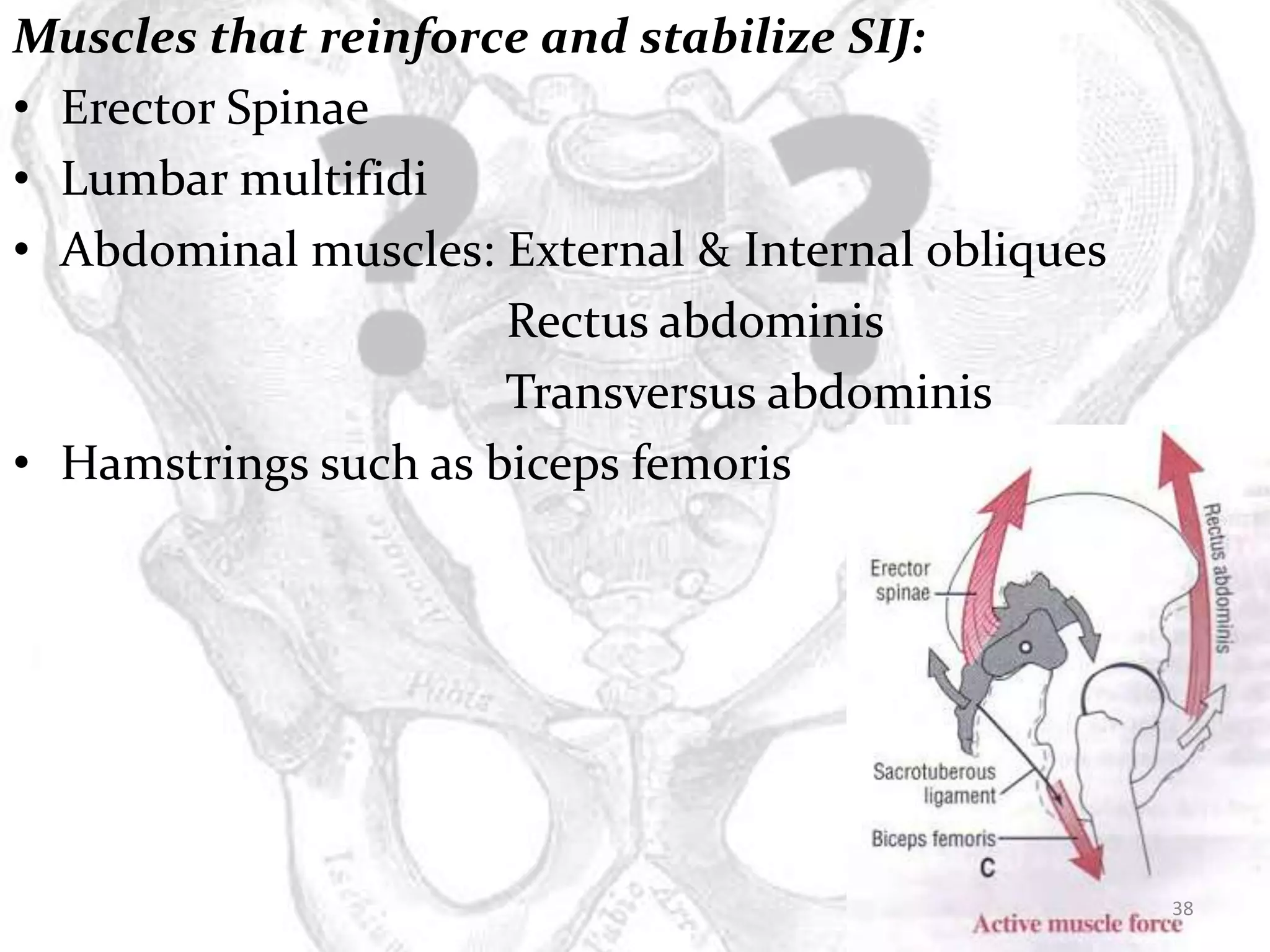 Biomechanics of si joint | PPTX