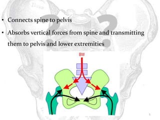 Biomechanics of si joint | PPTX