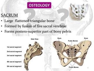 Biomechanics of si joint | PPTX