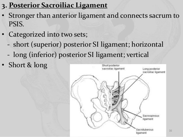 Biomechanics of si joint