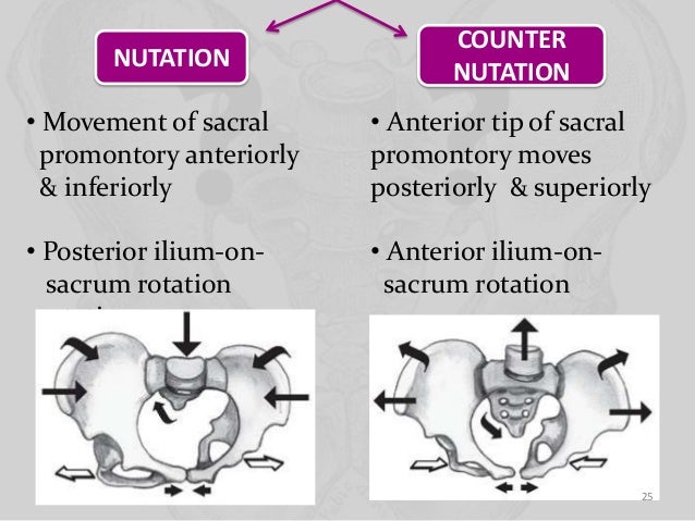 Biomechanics of si joint