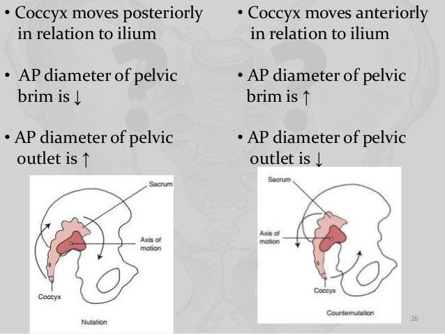 Biomechanics of si joint