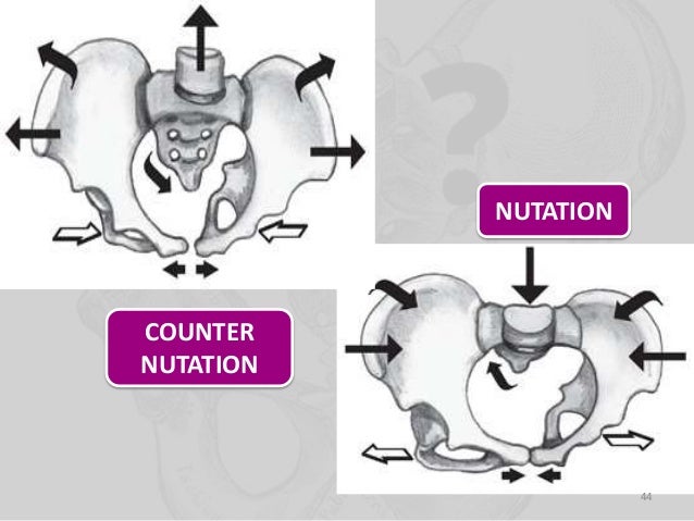 Biomechanics of si joint