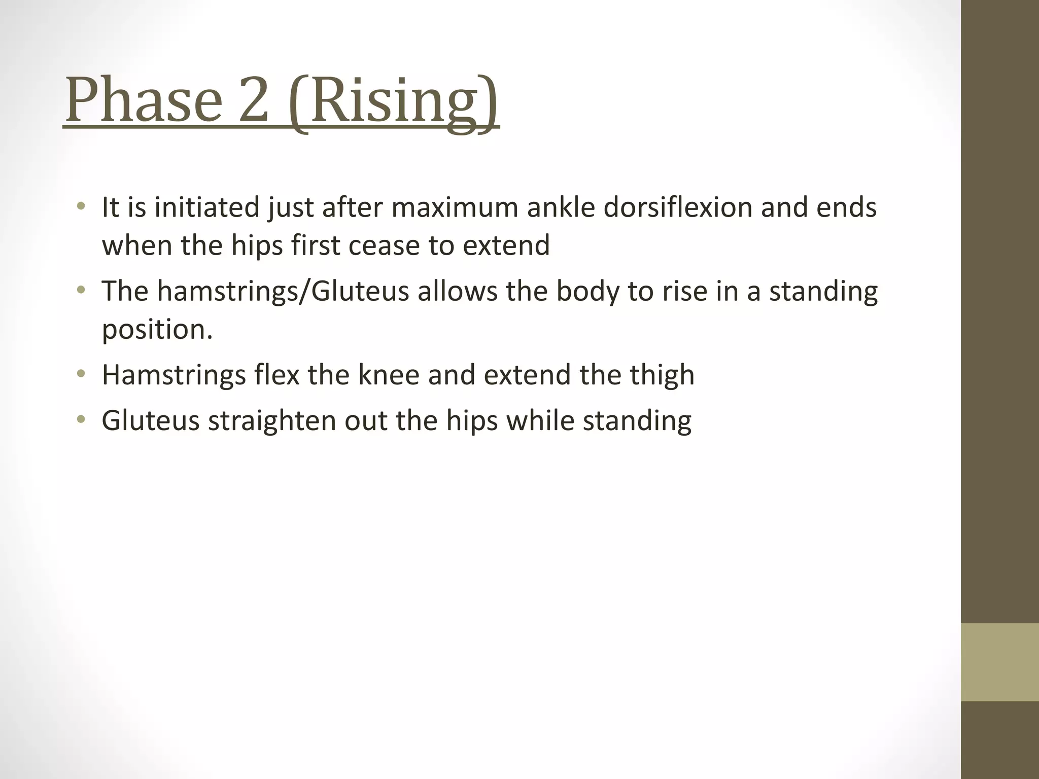 Biomechanics of Sit to Stand | PPTX