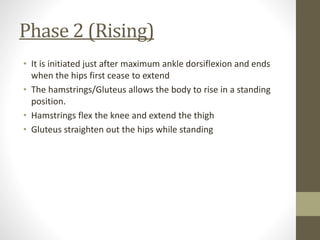 Biomechanics of Sit to Stand | PPTX