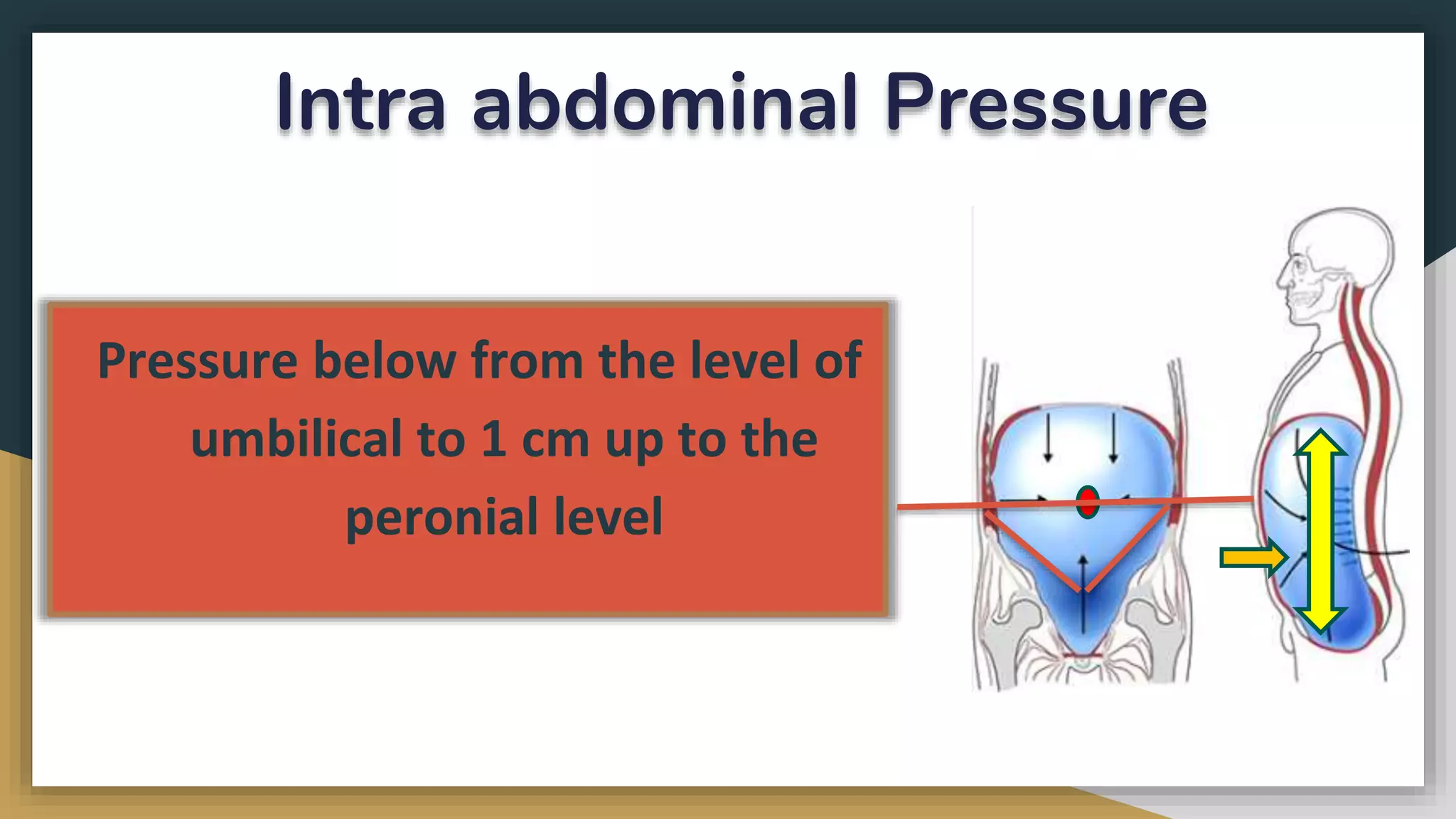 Biomechanics of spinal orthotics (MD.Nayeem hasan) | PPTX