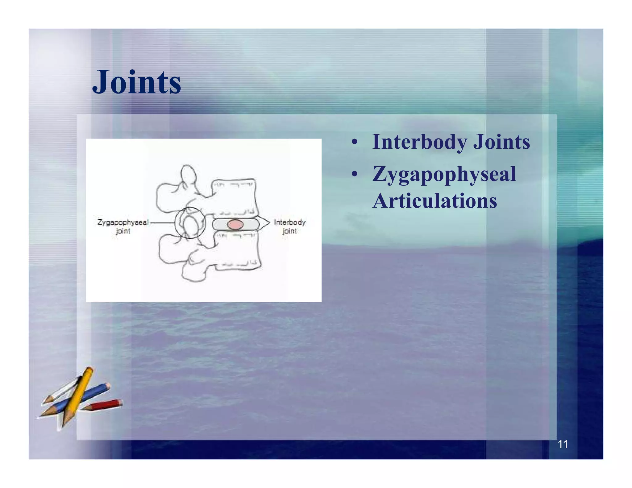 Biomechanics of spine | PDF