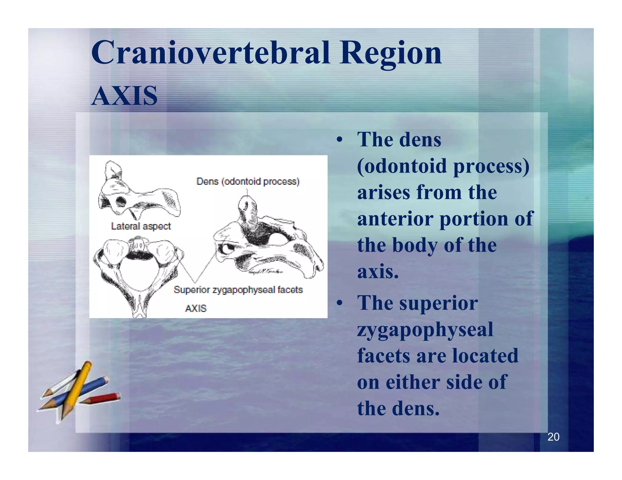 Biomechanics of spine | PDF