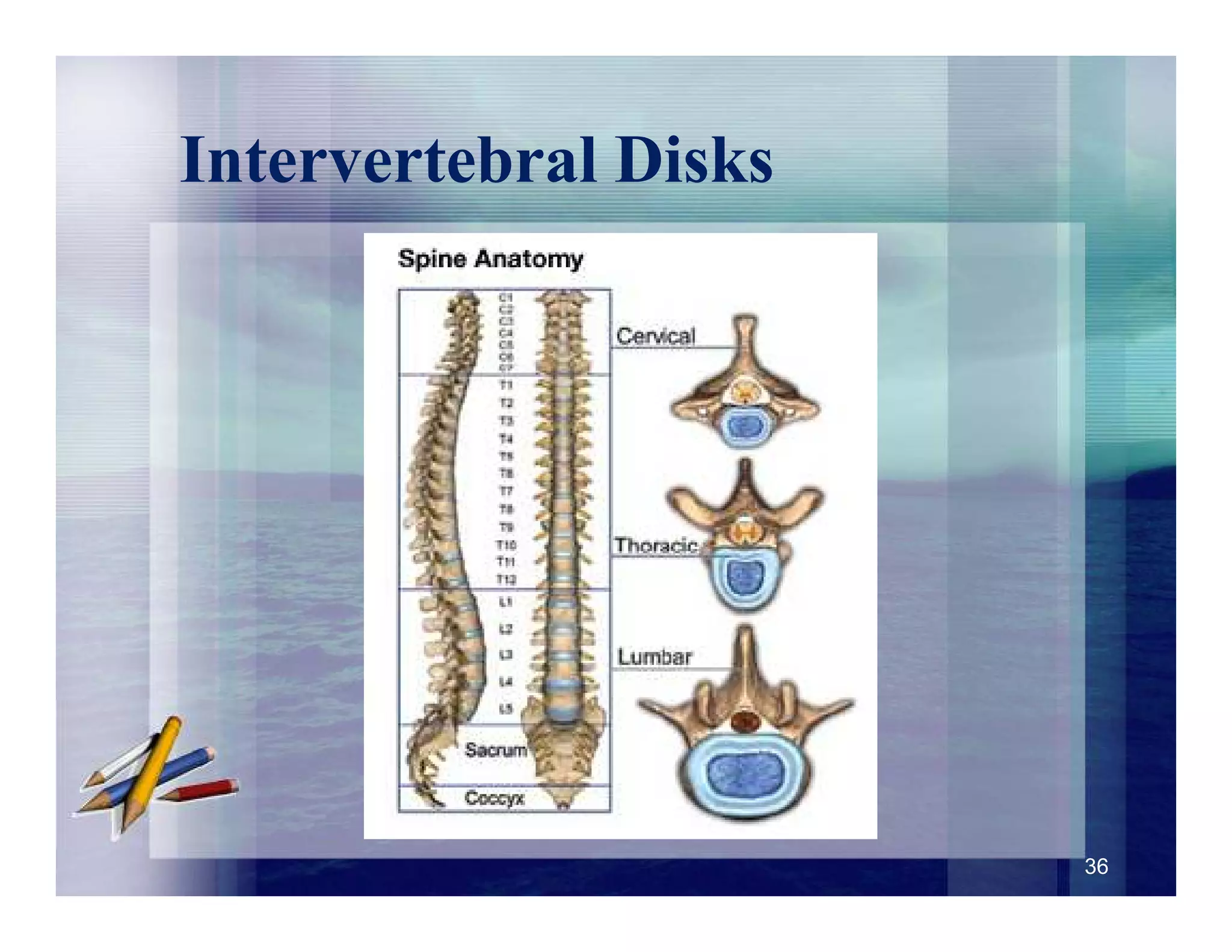 Biomechanics of spine | PDF