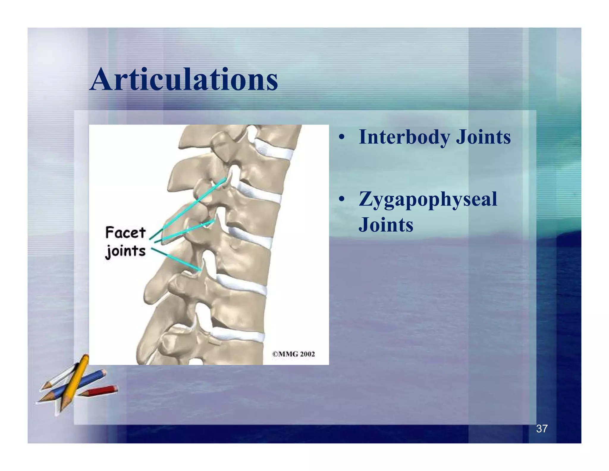 Biomechanics of spine | PDF