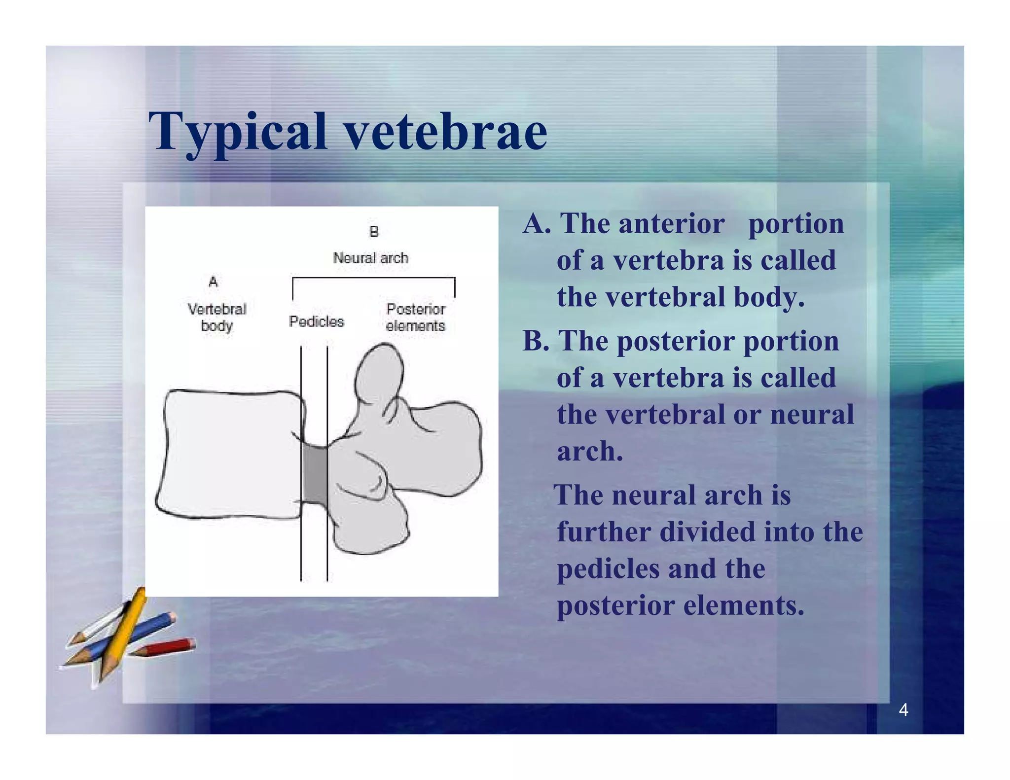 Biomechanics of spine | PDF