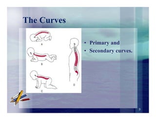 Biomechanics of spine | PDF