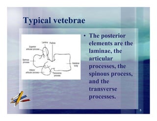 Biomechanics of spine | PDF