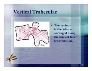 Biomechanics of spine | PDF