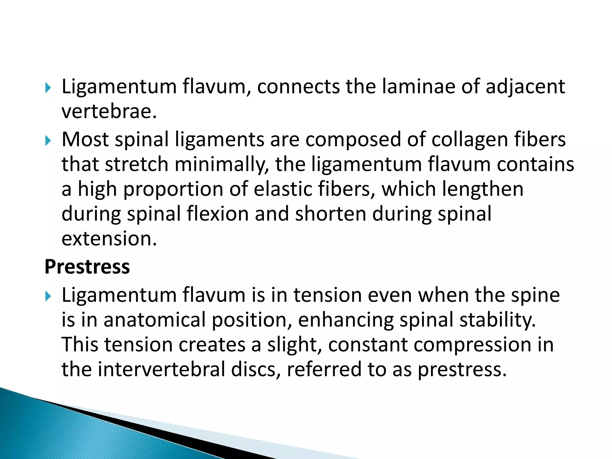 Biomechanics of spine | PPTX