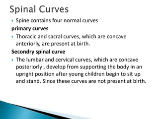 Biomechanics of spine | PPTX