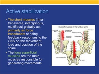 biomechanics of spine orthopaedic teaching .pdf