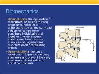 biomechanics of spine orthopaedic teaching .pdf