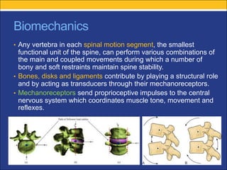 biomechanics of spine orthopaedic teaching .pdf