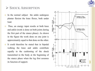 Biomechanics of symes prosthesis.pptx