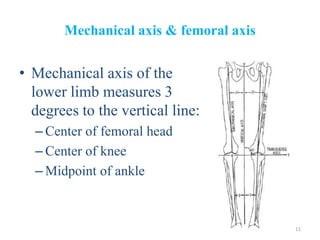 Biomechanics of TF.ppt