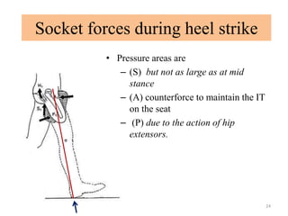 Biomechanics of TF.ppt