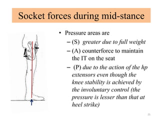 Biomechanics of TF.ppt