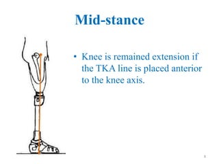 Biomechanics of TF.ppt