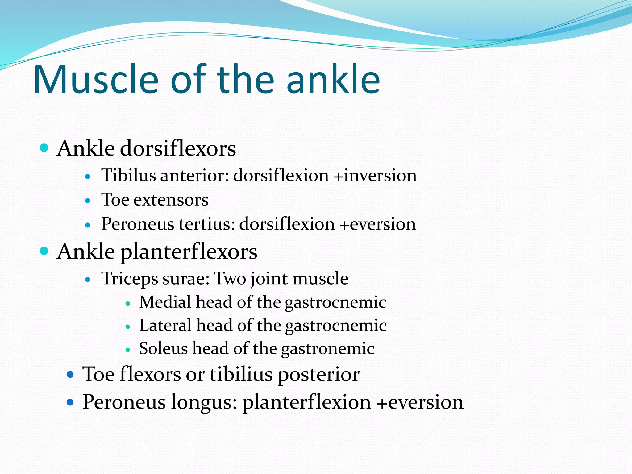 Bio-mechanics of the ankle joint | PPTX