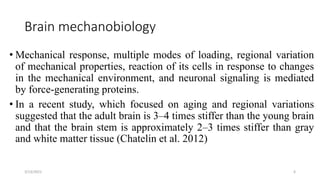 Biomechanics of the brain+2021 | PPTX