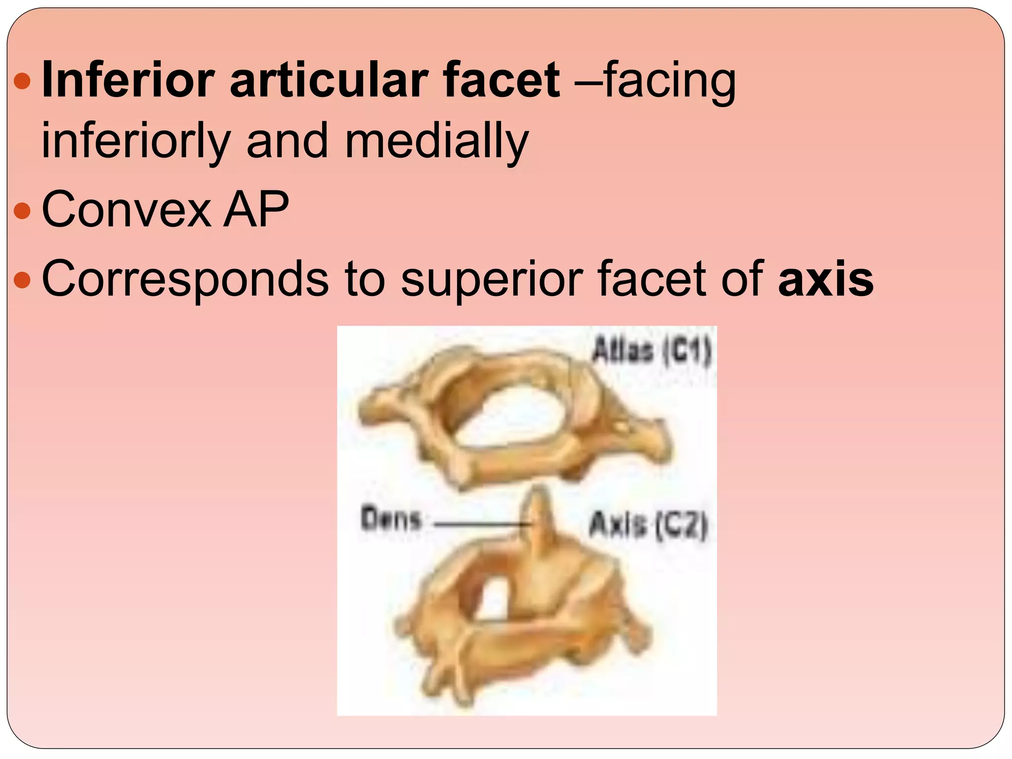 Biomechanics of the cervical spine. ppt (3) | PPTX