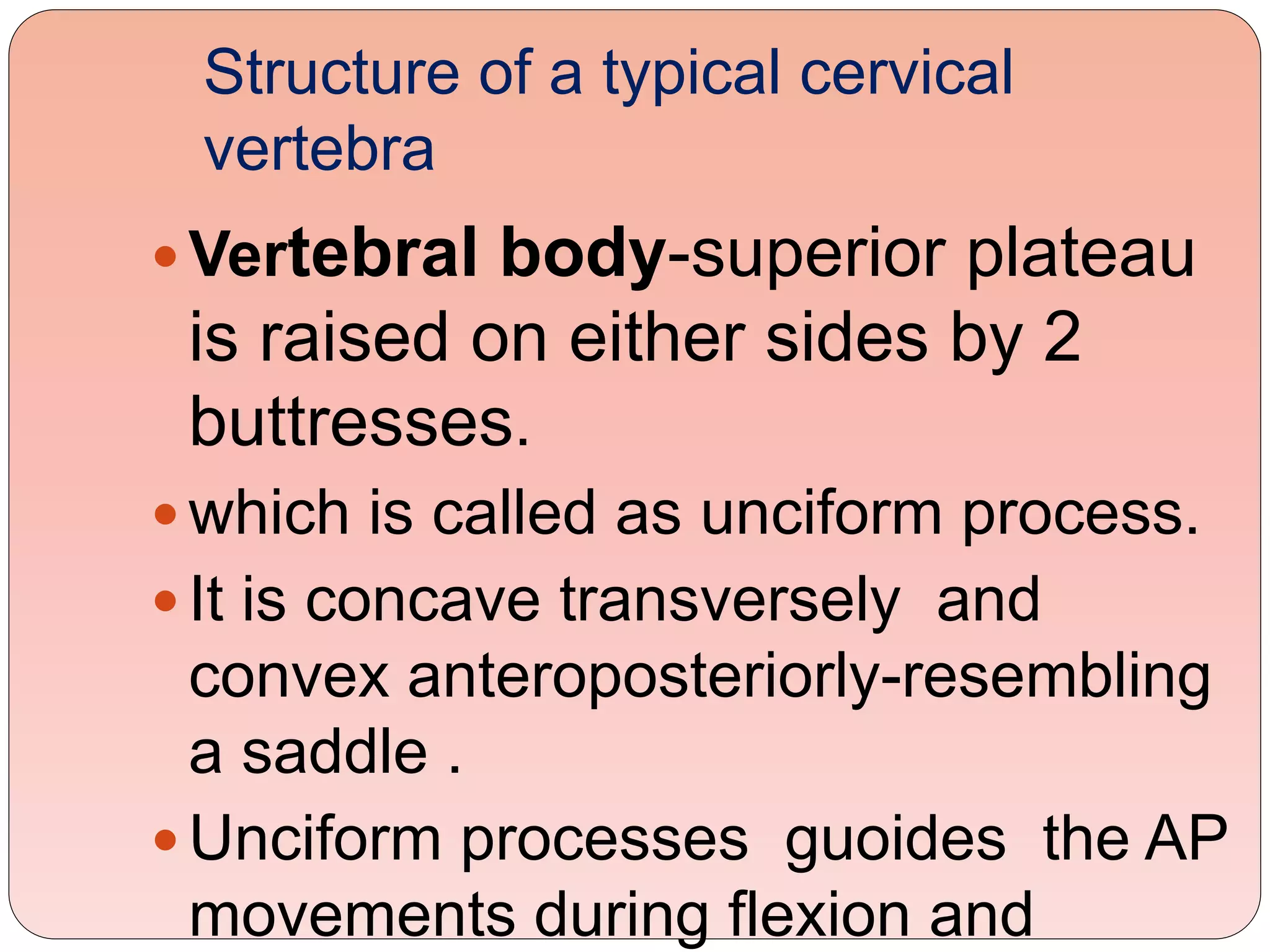 Biomechanics of the cervical spine. ppt (3) | PPTX