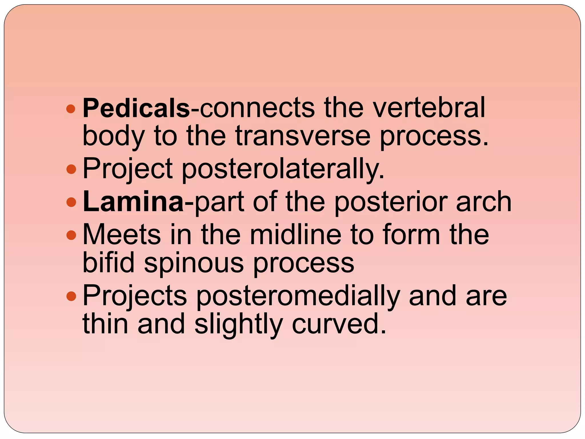 Biomechanics of the cervical spine. ppt (3) | PPTX