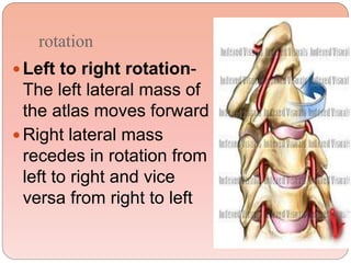 Biomechanics of the cervical spine. ppt (3) | PPTX