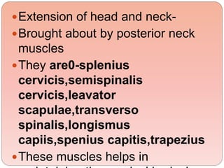 Biomechanics of the cervical spine. ppt (3) | PPTX
