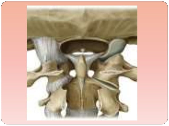 Biomechanics of the cervical spine. ppt (3) | PPTX