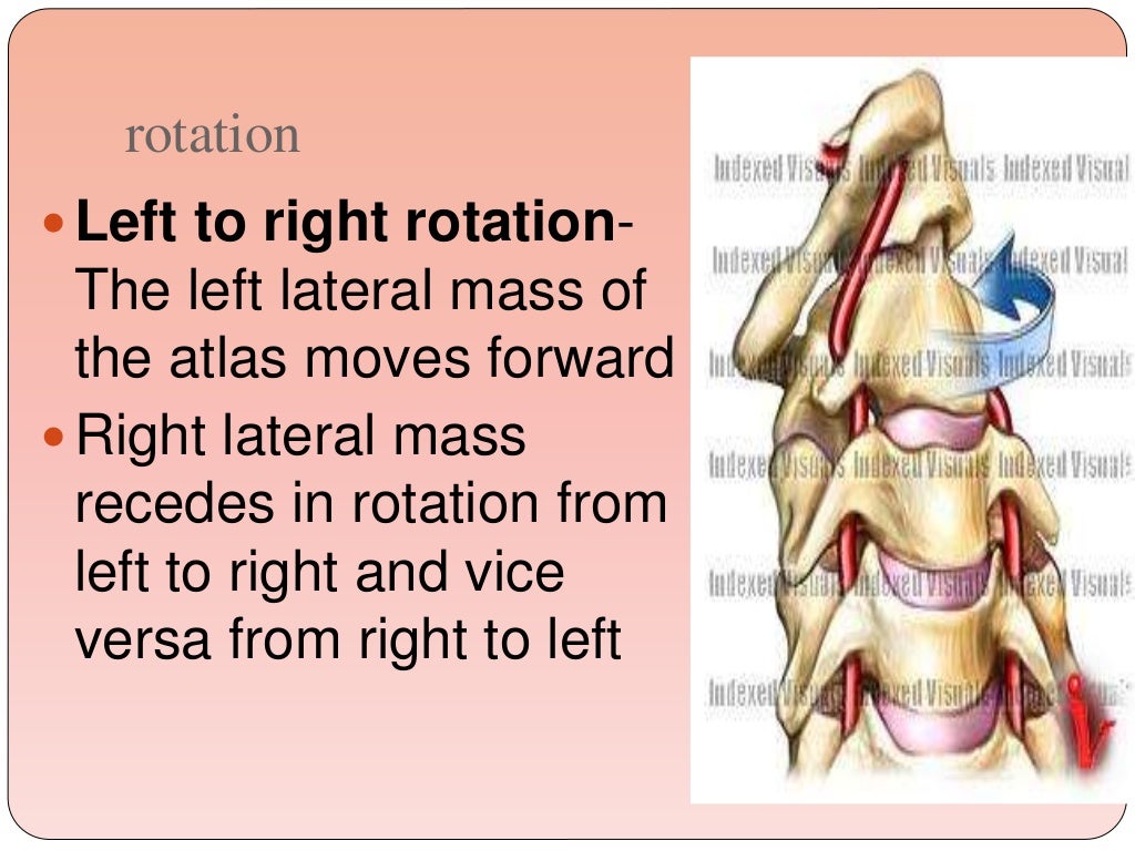 Biomechanics of the cervical spine. ppt (3)