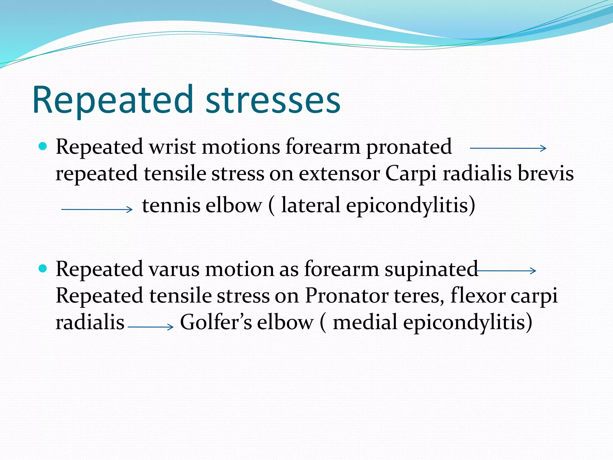 Bio-mechanics of the Elbow Joint | PPTX