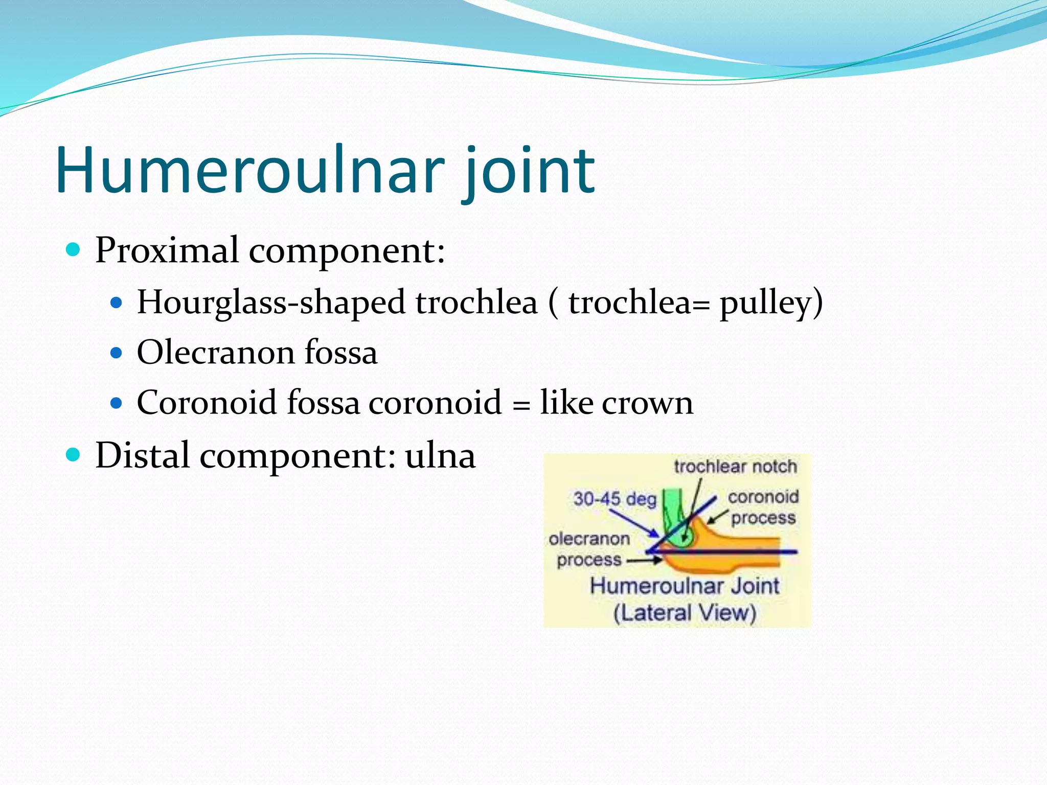 Bio-mechanics of the Elbow Joint | PPTX
