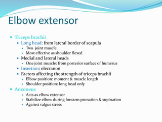 Bio-mechanics of the Elbow Joint | PPTX