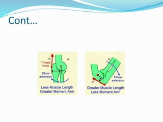 Bio-mechanics of the Elbow Joint | PPTX