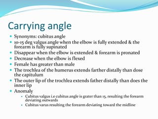 Bio-mechanics of the Elbow Joint | PPTX