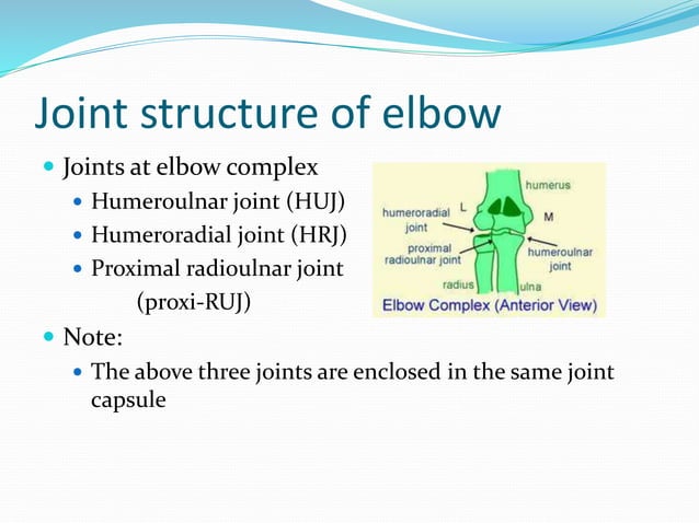 Bio-mechanics of the Elbow Joint | PPTX | Death, Injury, or Military ...