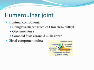 Bio-mechanics of the Elbow Joint | PPTX